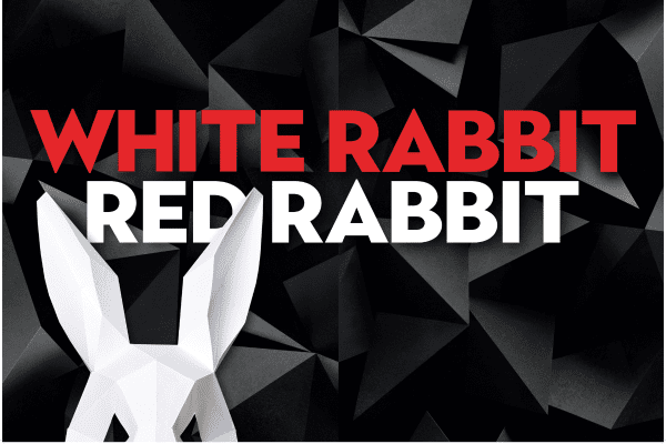 White Rabbit Red Rabbit - Visit Concord