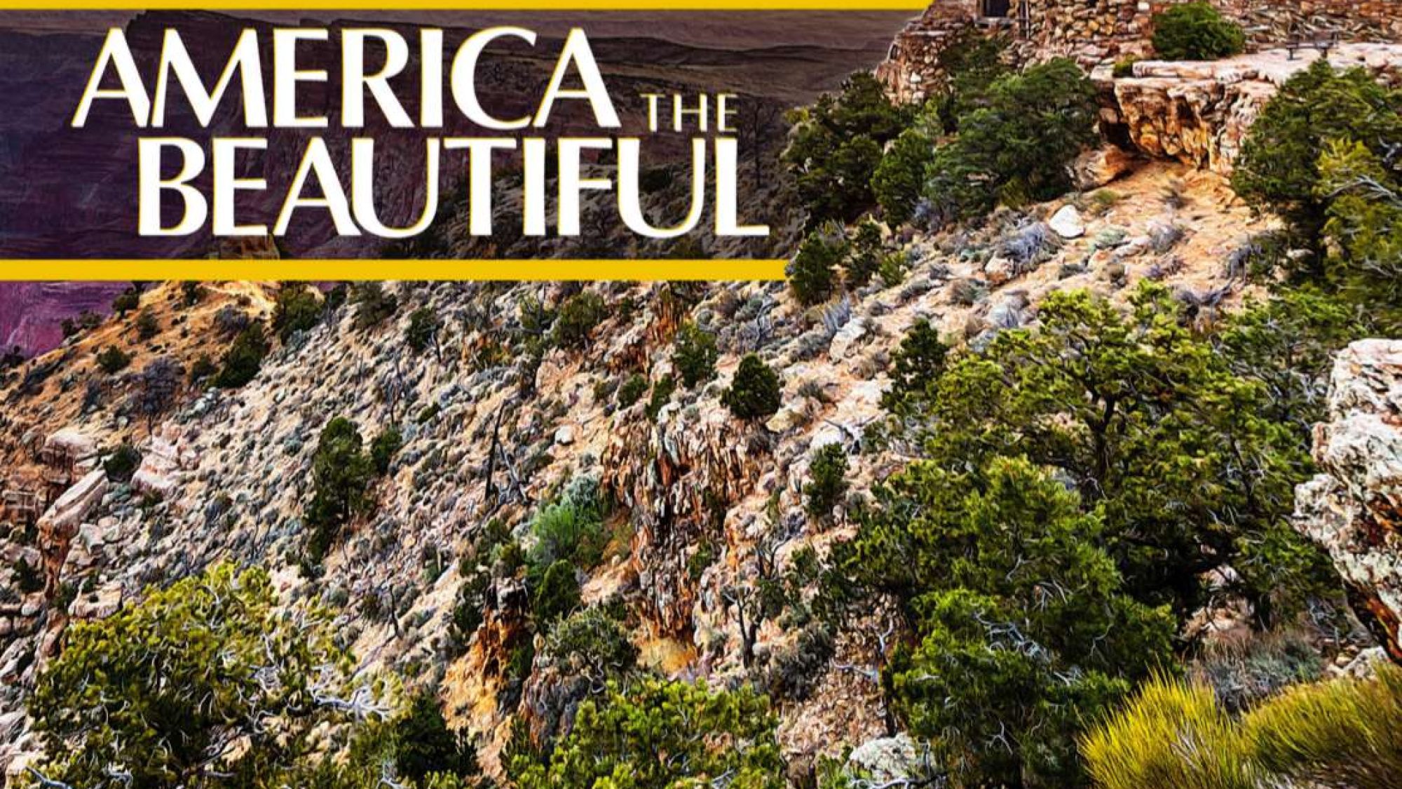 Free African Americans of Concord Tour - Visit Concord